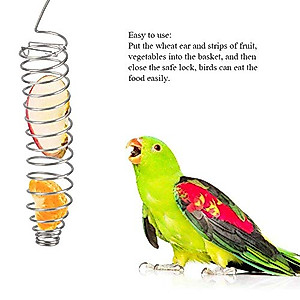 Stainless Steel Pet Bird Feeding Perch, Parrot Feeding Tools Vegetable Fruit Feeding Basket Holder Cage Accessory