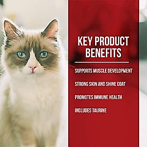 Fussie Cat Market Fresh Chicken & Turkey Meal Formula Grain-Free Dry Cat Food 4lb