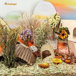 Niteangel Natural Flower & Herb Bedding Habitat Decor - for Hamsters Gerbils Mice Lemming Degus or Other Small Pets (Harvest Wind - Flower Version)