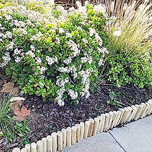 Backyard X-Scapes Natural Eucalyptus Wood Solid Log for Garden Edging Lawn Landscape Fence Borders 72 in L x 6 in H x 1.25 in D