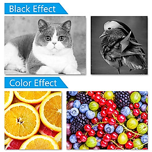 KCMYTONER High Yield Remanufactured 63XL 63 XL 63BXL Black Ink Cartridge Compatible for HP OfficeJet 5255 5258 4650 Envy 4520 4516 Deskjet 2130 Printer, Show Ink Level with The Latest chip - 1 Pack