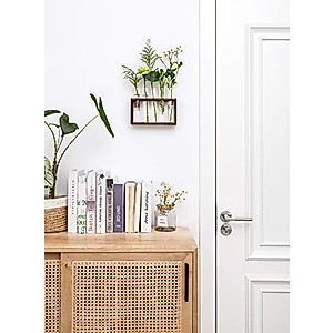 Mkono Wall Hanging Glass Planter Plant Terrarium Modern Flower Bud Vase in Wood Stand Rack Tabletop Terrarium for Propagating Hydroponic Plants, Home Office Decoration with 5 Test Tube, Medium, Brown