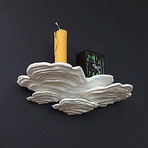 Ostrea Fungus Plastic Wall Shelf - 2 Piece Set Large and Small