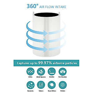Blue Pure 411 Replacement Filter Compatible with Blueair Blue Pure 411, 411+, 411 Auto and Mini Air Purifiers, Particle and Activated Carbon, 2-Pack