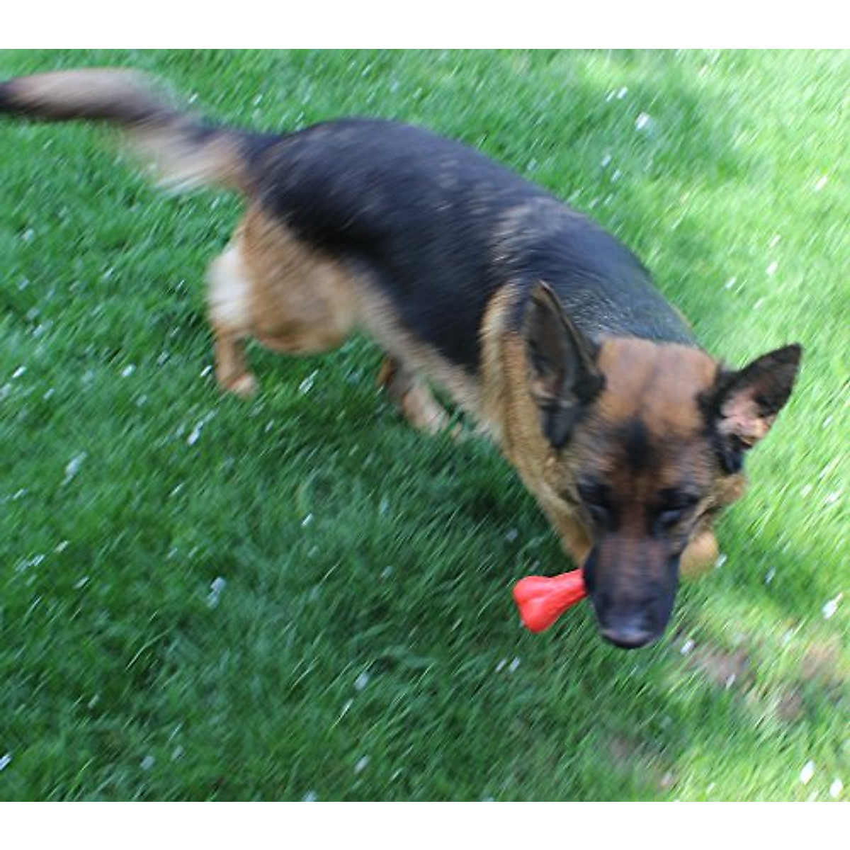 Jalousie Chew Toy Natural Rubber chew Toy for Interactive Play Toy Ball Rope Rubber Value Set for Small to Medium Breed Dog mutt Puppy