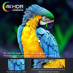 c-force Portable Monitor, 15.6'' 4K UHD Laptop Monitor USB C HDMI Computer Display HDR Eye Care External Screen w/Smart Cover for PC Mac Phone Xbox Switch PS5