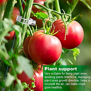 200PCS Plant Support Garden clips, Vegetable Cages and Supports, Garden Trellis for Climbing Vine Plants, Supports Clip for Tomato Grape Melon, Makes Garden Crop to Grow Upright and Healthier