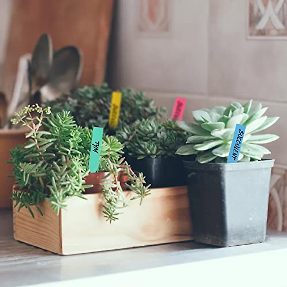 Foraineam 600 Pcs 4 Inches Plant Labels 6 Colors Plastic Waterproof Plant Tags Nursery Garden Labels Pot Marker Garden Stake Tags