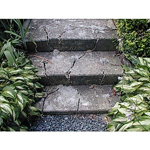 Dexpan Expansive Demolition Grout 44 Lb. Bucket for Rock Breaking, Concrete Cutting, Excavating. Alternative to Demolition Jack Hammer Breaker, Jackhammer, Concrete Saw, Rock Drill (DEXPAN44BKT2) (50F