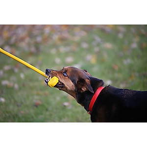 Jersey Dog Co. Ultimate Tug Toy, Tug of War Dog Toy, Made in The USA