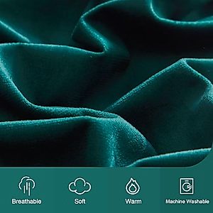 HYBD Soft Velvet Duvet Cover Queen Size - Breathable and Lightweight Warm Duvet Cover Set 3 Pieces with Zipper Closure, Washable & Durable, 1 Duvet Cover 90x90 inches and 2 Pillow Shams, Emerald Green