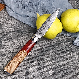 JUMCSONG 3.5 Inch Fruit Knife, 67 Layer Damascus Steel Blade Peeling Knife, Super Sharp Kitchen Knife