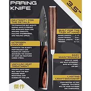 KESSAKU Offset Bread Deli Serrated Knife - 8 inch - Samurai Series - Razor Sharp Kitchen Knife - Forged 7Cr17MoV High Carbon Stainless Steel - Wood Handle with Blade Guard