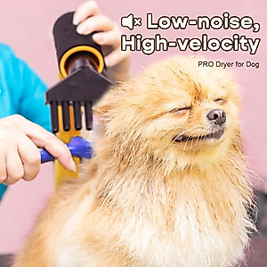Free Paws Pet Dryer for Dog Cat Hair Blower, Portable Grooming Professional 4HP Forced Air Dryer for Dogs with Heating, for Large Small Pets Dogs Cats, Variable Speed (Yellow)