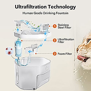 CAT CARE Cat Water Fountain-84oz/2.5L Ultra Quiet Pet Water Fountain, Automatic Dog Water Bowl Dispenser with Ultra-Filtration Tech, Removes Various Impurities, Human Grade Drinking Fountain