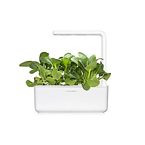 Click and Grow Smart Garden Pak Choi Plant Pods, 3-Pack