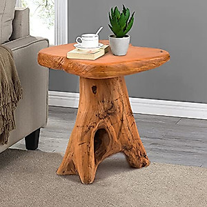 HOEGMST Small Side Table, Unique Design Live Edge Wood Stool, Freeform Natural Plant Stand for Garden, Yard, Living Room, Bedroom