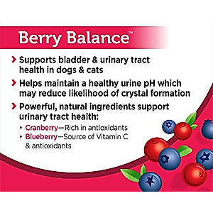 Solid Gold Cranberry Supplement for Dogs & Cats for Urinary Tract Health - Berry Balance Chews UTI + Bladder + Kidney Support for Cats and Dogs with Antioxidants