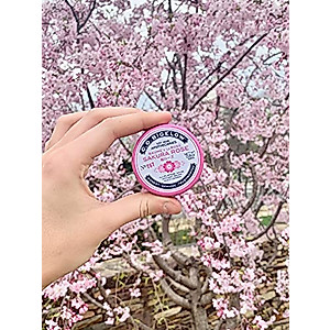 C.O. Bigelow All Purpose Salve Lip Balm Tins, Sakura Rose Salve Pack of 3 for Chapped Lips & Dry Skin - Moisturizing Lip, Cuticle and Skin Salves, 0.8 oz each