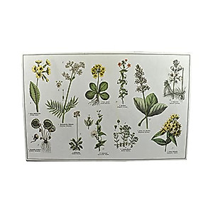 Ashland MICHAELS 14.5”; Botanical Decorative Storage Box