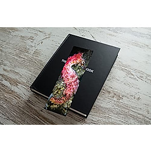 JBH Creations Ocean Animal Bookmarks - Pack of 48