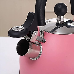 practical Teakettle Creative Kettle Stainless Steel Teapot, Whistle Kettle, Fast Heating Tea Kettles Large Capacity Household Kettle 2.5l Portable