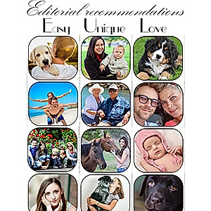 Maizi Sun Cover for Car Windshield 2pcs Universal Fit Sun Covers for Car Windshield Fits Most Wagon, Small Car, Pickup Truck, Van Image ID: African White Rhino Lake Nakur American-Made Product