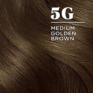 Clairol Nice'n Easy Permanent Hair Dye, 5G Medium Golden Brown Hair Color, Pack of 3