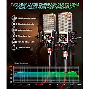 Audio Mixer with Sound Card, tenlamp Two 3.5mm Studio Condenser Microphone and G3 Audio interface, Sound Board Voice Changer, Podcast Equipment Bundle for PC Recording Gaming Live Streaming Podcast