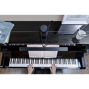 BenQ Black PL19-D 47" Wide Professional PianoLight with 6 Color Modes, 15 Brightness Levels, 360° Adjustable Height and Directions, Auto-Dimming & Eye Care Hood for Upright Pianos(Black)