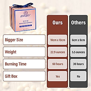 Extra Large Strong Scented Aromatherapy Soy Wax White Vanilla Bubble Candle