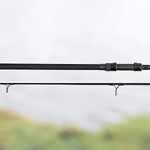 Atlas 10ft Carp Fishing Rod - Fishing Rods with 2.75lb, 3.0lb and 3.25lb Test Curves | 2-Section Portable Fishing Rod Made from Lightweight Armoured Carbon (2.75lb Test Curve)