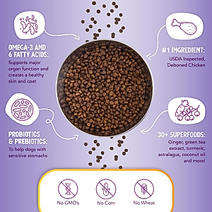 Health Extension Dog Health and Nutrition Bundle - Multivitamin (30 Tablets), Little Bites Dry Dog Food Chicken & Brown Rice Recipe (4 Lbs), Joint & Hip Supplement Cheese Flavored Powder (16oz)