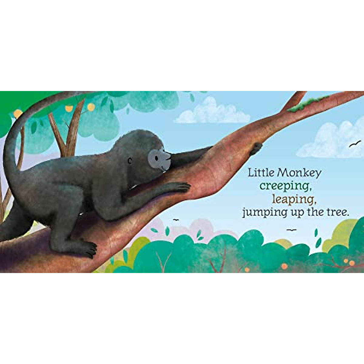 Little Monkey (Little Animal Friends)