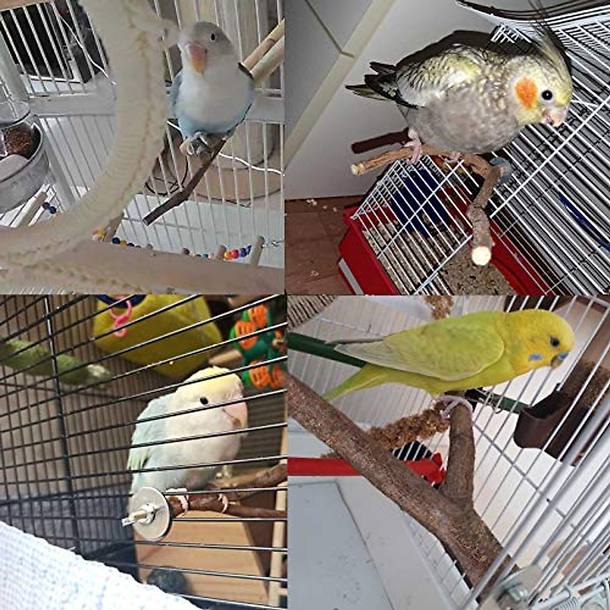 PINVNBY Bird Perch,Parrot Perches Stand Natural Peach Wood Fork Parakeet Birdcage Paw Climbing Stands Cage Toy Accessories for Conures,Lovebirds,Budgies,Cockatiels and Finches(10 Pcs)