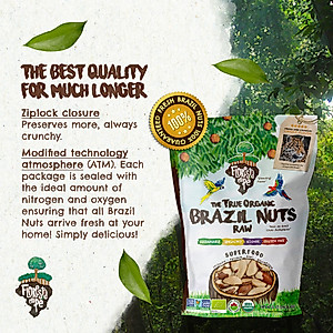 Floresta em Pé The True Organic Premium Brazil Nuts (15oz) Raw & Unsalted | Kosher | Non-Gmo | Certified Organic | Fresh | Vegan | Gluten Free | Keto & Paleo Friendly | Sustainably Harvested