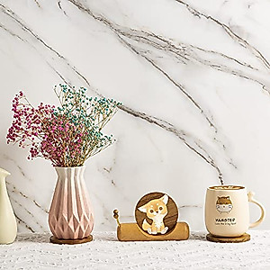 Wooden Coasters for Drinks-Natural Acacia Wood Drink Coaster Set for Drinking Glasses , Tabletop Protection for Any Table Type , Set of 5-Dia 3.5*3.5inchs（New Snail Coasters）