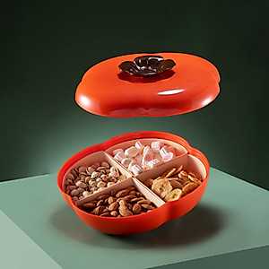 Taiuloo Divided Serving Tray with Lid, 4 Compartment Removable Snack Platter Container, BPA-Free Storage Box for Appetizer, Snackle, Candy, Fruit, Nut, Veggie, Parties Entertaining Dishwasher Safe