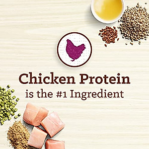 Nutro MAX Adult Recipe Dry Dog Food with Farm Raised Chicken, 12 LB Bag