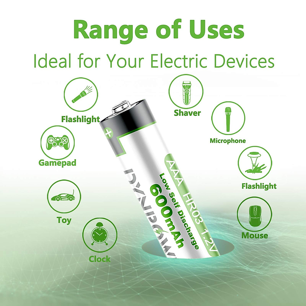 Dynpower NiMH AAA 600mAh Rechargeable Batteries 1.2V,Pre-Charged Triple A for Outdoor Solar Lights Garden Light and Household Devices, (Pack of 12)