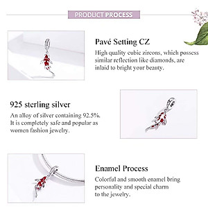 ToHa 925 Sterling Silver Carp Bead Charms,Good Luck Charms Cubic Zirconia Fish Animal Charm Koi Beaded Pendant for European Bracelet & Necklace,DIY Jewelry for Women