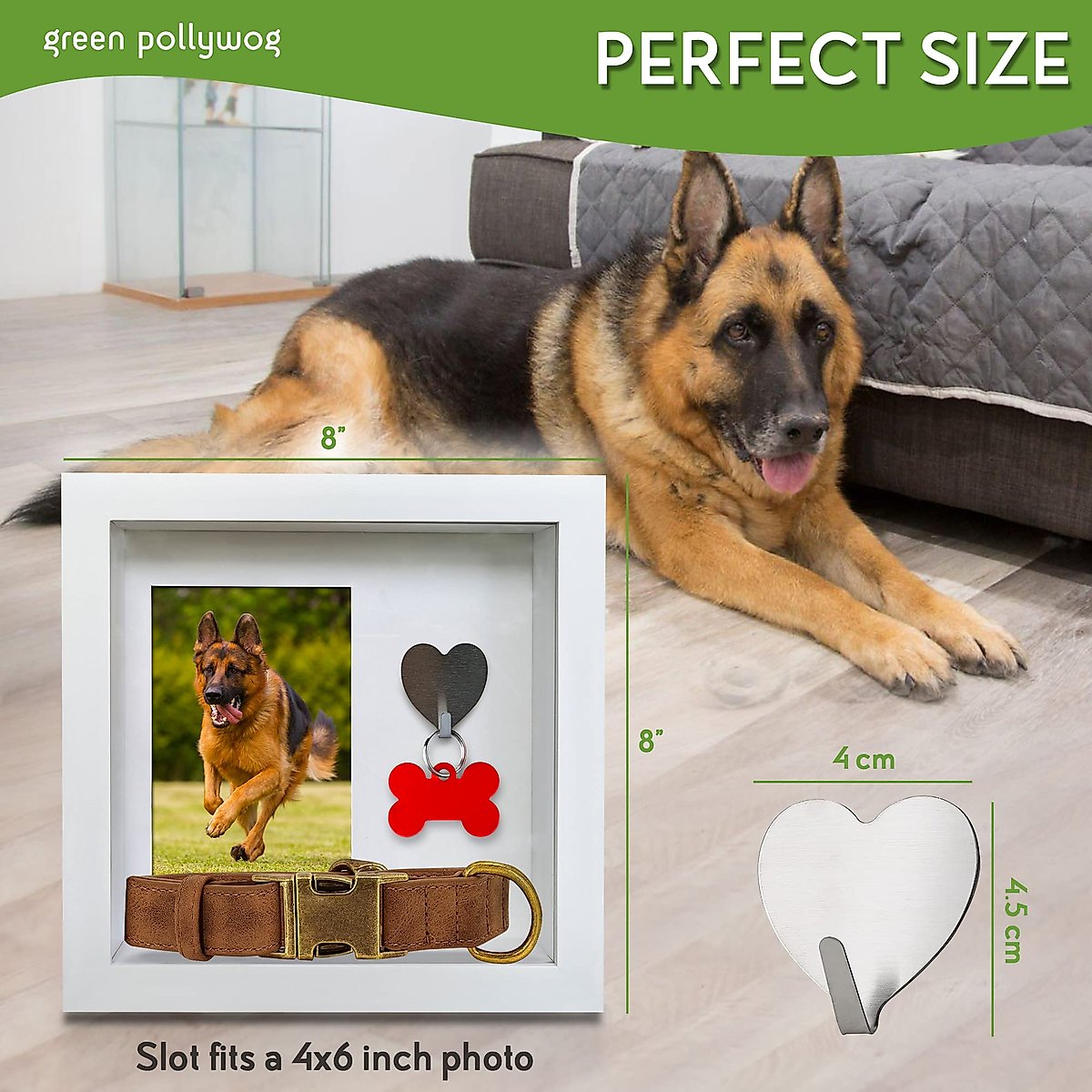 Green Pollywog Pet Memorial Shadowbox with Photo, Tag & Collar Display | White Frame with 4” x 6” Picture Opening | 10” x 10” x 2.5” Keepsake Box