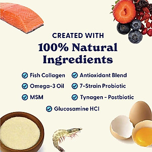 Origin Labs Adult Dog Multifunction Support, Omega 3 Supplement, Gut Health Probiotics, Immune Support, Heart, Skin, Liver, Brain, Joint Health, Glucosamine Chondroitin, Bacon Flavor, 90 Soft Chews