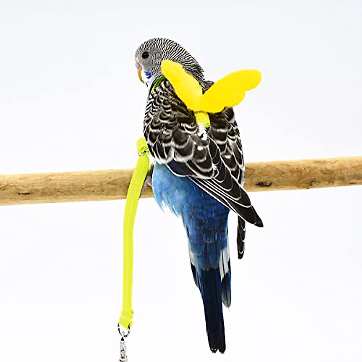 Clpoawc Parrot Bird Harness and Leash Adjustable Bird Harness Leash Outdoor Flying Kit Training Rope for Parrot Budgie Lovebird Cockatiel Macaw Parakeet(Yellow)
