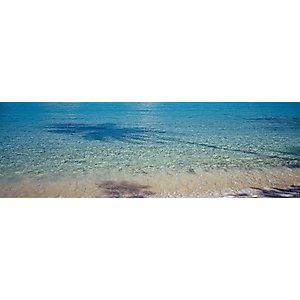 Posterazzi Shadow of trees on water Hawksnest Bay National Park St John US Virgin Islands Poster Print, (27 x 9)