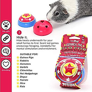 HAYPIGS 1x Circus Themed Guinea Pig Treat Ball - Guinea Pig Toys and Accessories - Rabbit Enrichment Toys Small Animal Toy - Small Pet Activity Ball - Pet Entertainment
