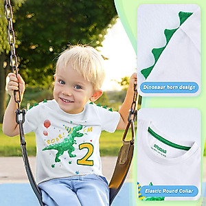 WAWSAM 2nd Birthday Boy Shirt Dinosaur Birthday T-Shirt 2 Year Old Toddler Dinosaur Outfit Cotton White Dino Party Shirt
