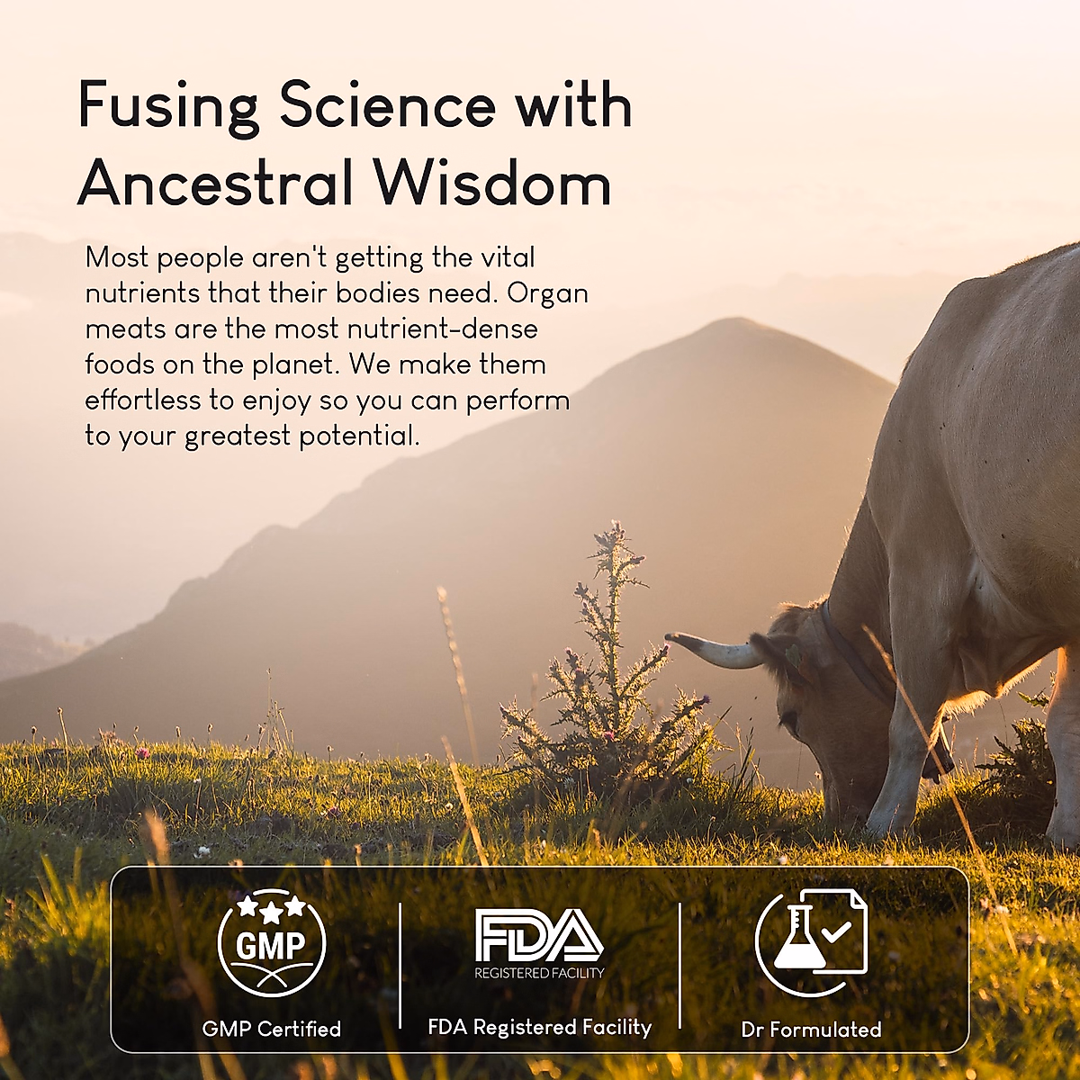 Optimal Carnivore Beef Organ Supplement, Grass Fed Beef Organs for Men & Women, 9 Organ Complex, Organ Meat - Beef Liver, Brain, Thymus, Lung, Gallbladder