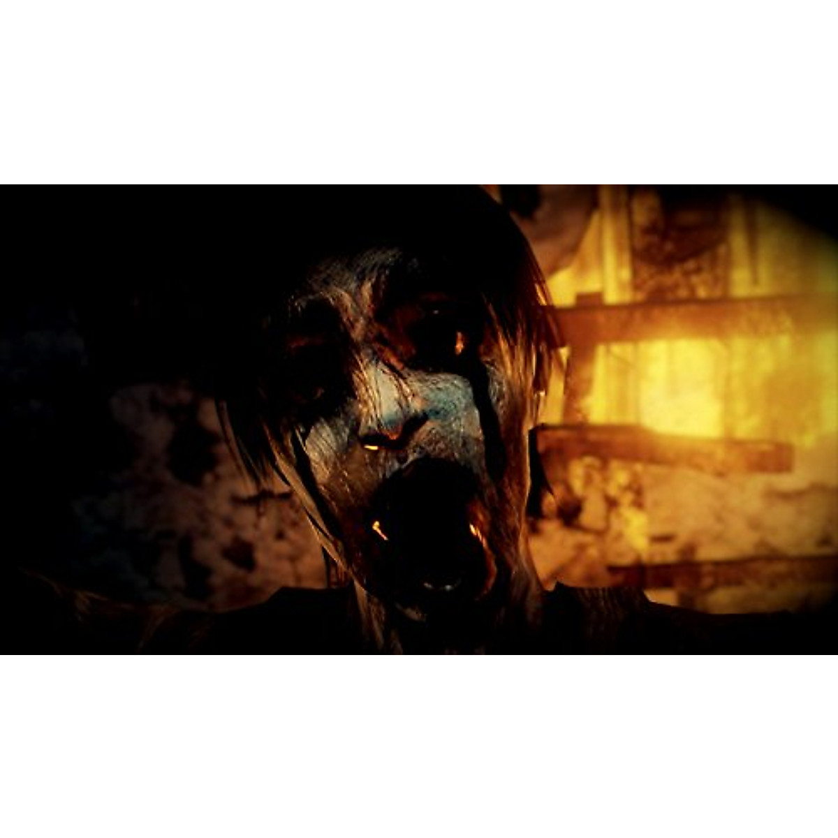 Zero: Nuregarasu no Miko