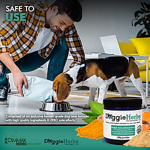Anti-Inflammatory for Dogs w Turmeric (Curcumin) | Human Grade Dog Pain Relief, Arthritis Supplement – 100g by Doggie Herbs